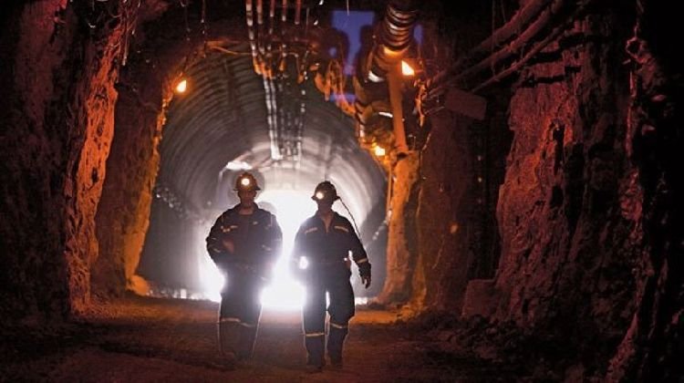 Relación de ANSI y OSHA en señales de seguridad